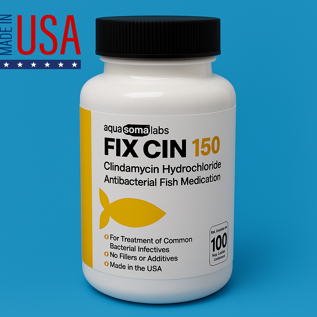 Fish Cin Clindamycin 150mg – Aquarium Antibiotic Capsules – Fish Mox