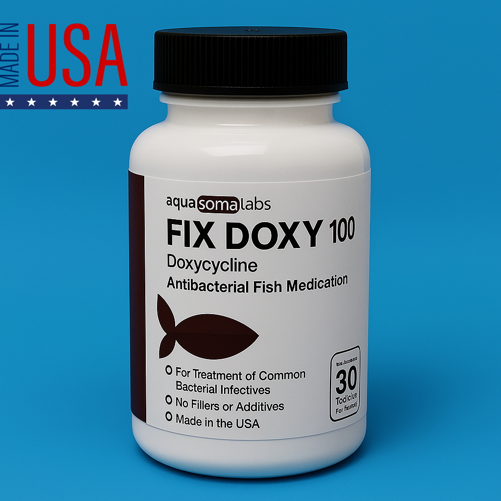 Fish Doxy Doxycycline 100mg – 30 Capsules | Fish Antibiotic for ...