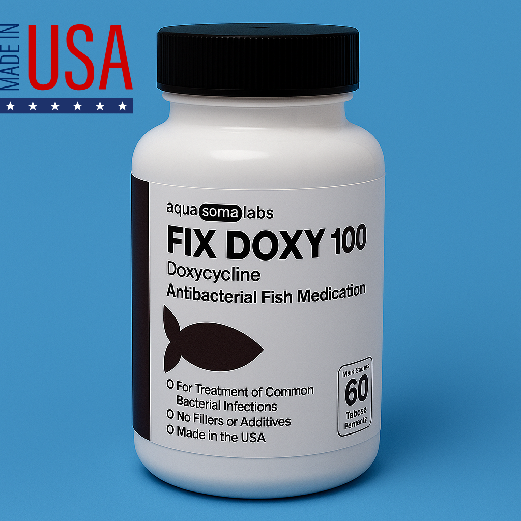 Fish Doxy Doxycycline 100mg – 60 Capsules | Aquarium Fish Antibiotic ...