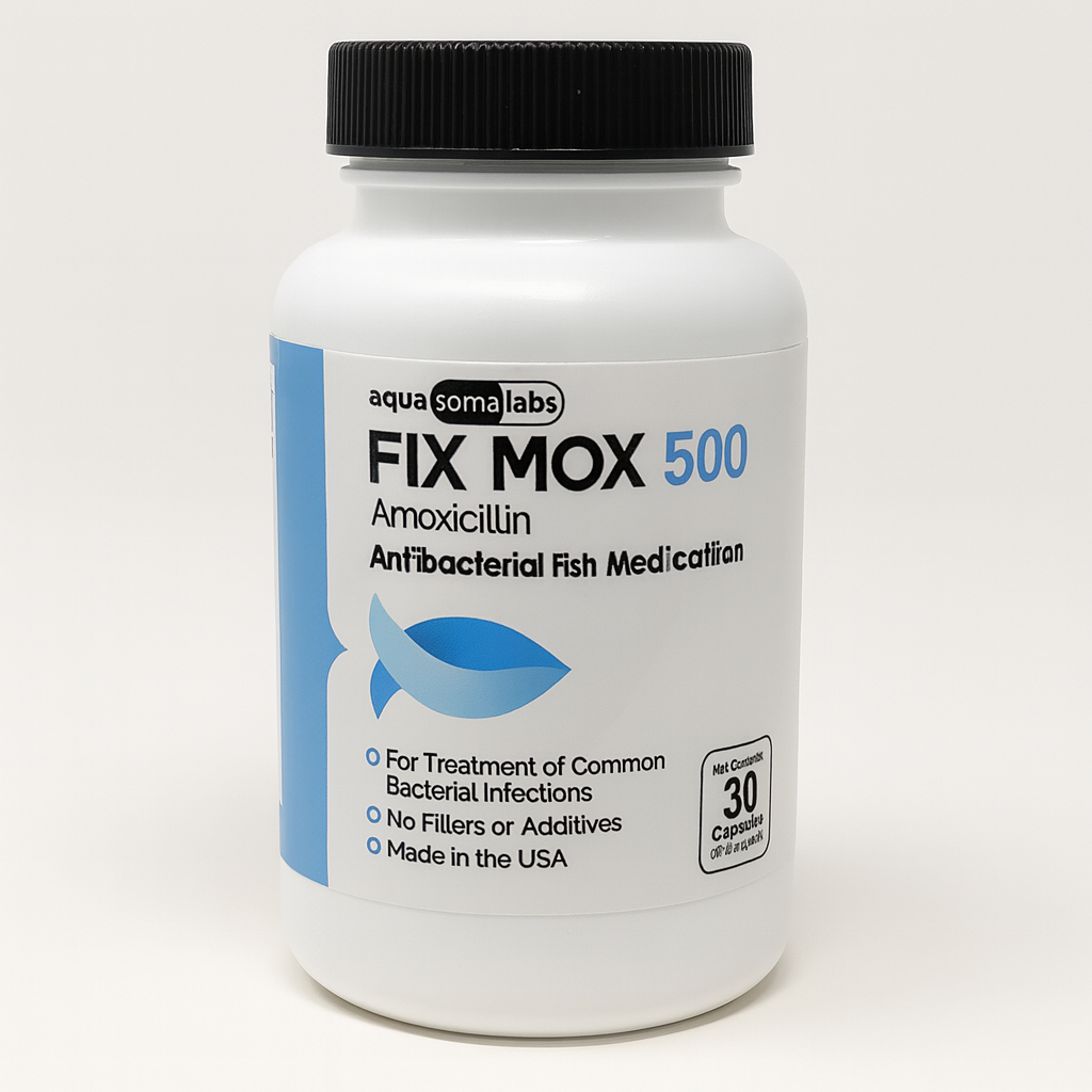 Fish Mox Amoxicillin 500mg – 30 Capsules | Fish Antibiotics FishMox