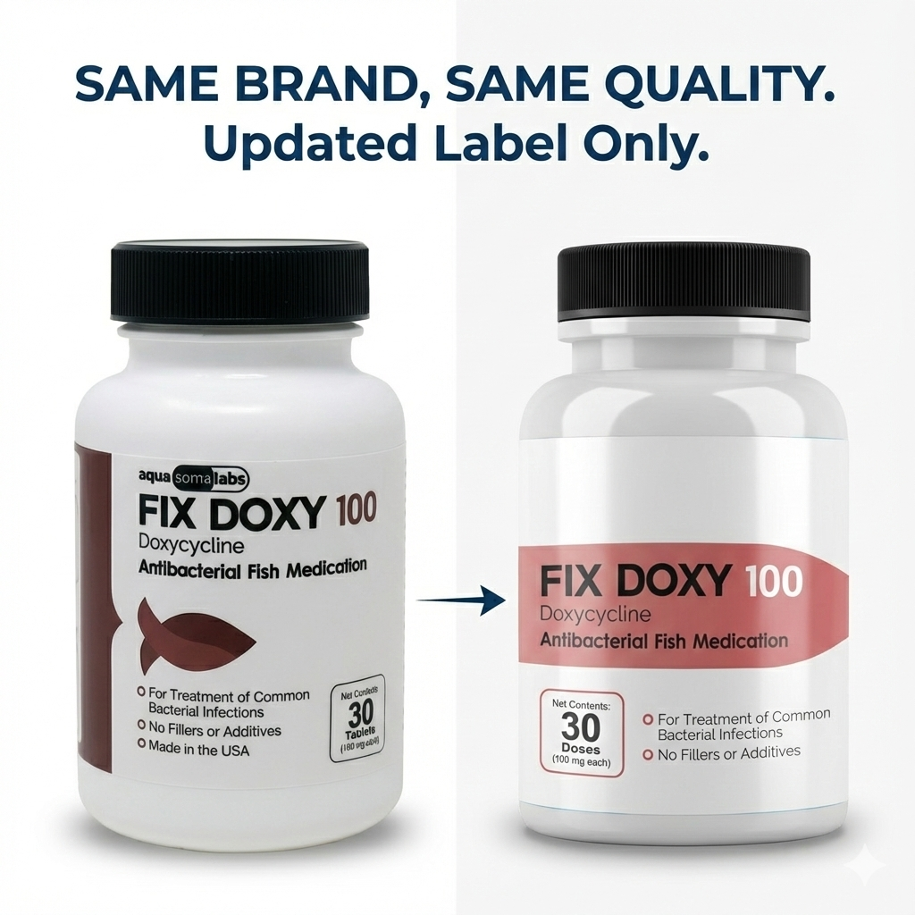 Fish Doxy Doxycycline 100mg – 30 Capsules | Fish Antibiotic for ...