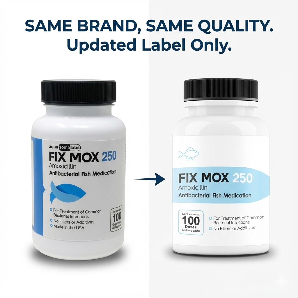 Fish Mox Amoxicillin 250mg – 100 Capsules | Fish Antibiotics for Fin ...